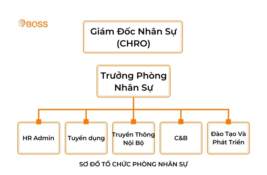 10 Mẫu Sơ đồ Tổ Chức Công Ty Và Phòng Ban Chuyên Nghiệp